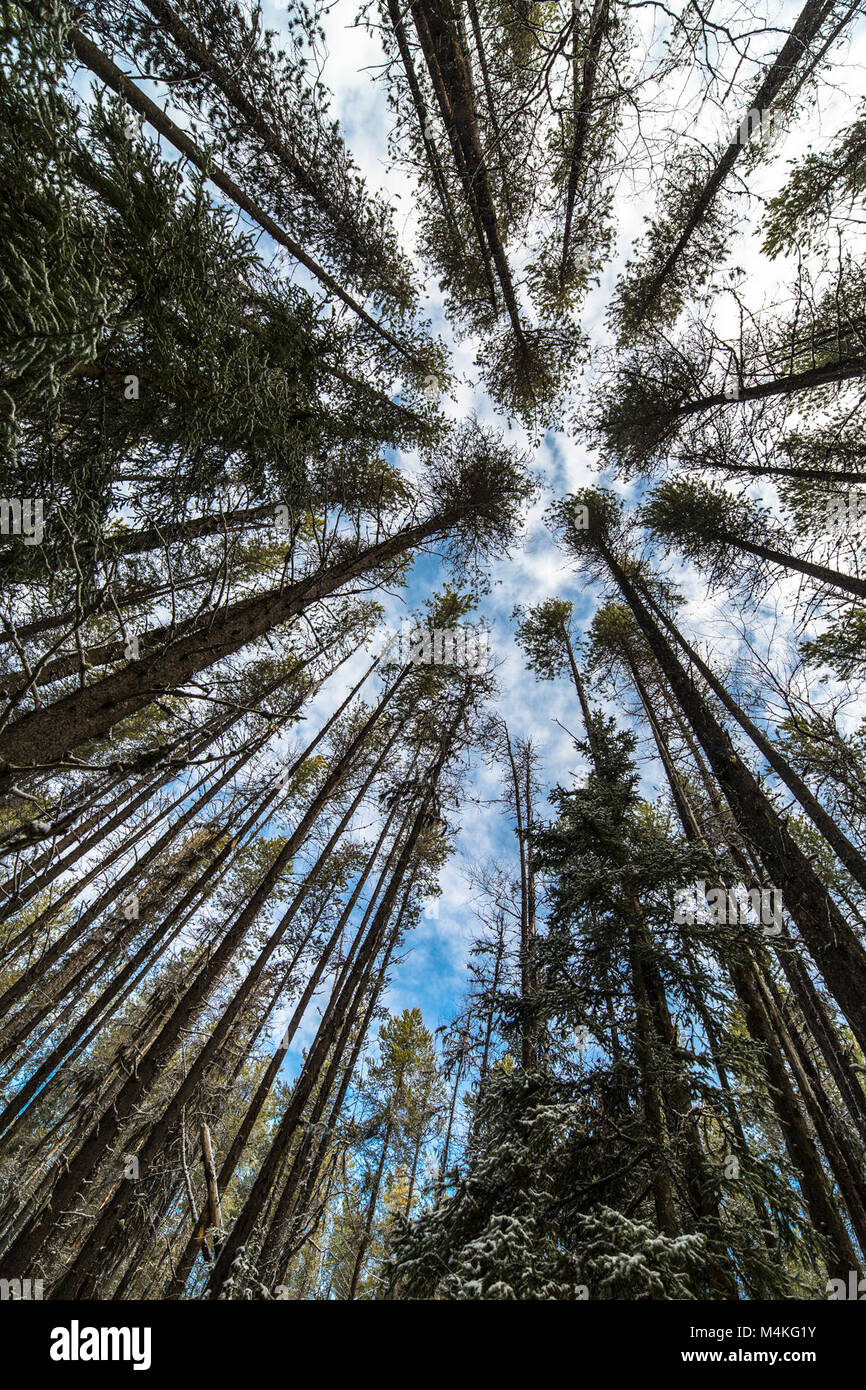 Cold Clear Skies Stock Photo - Alamy