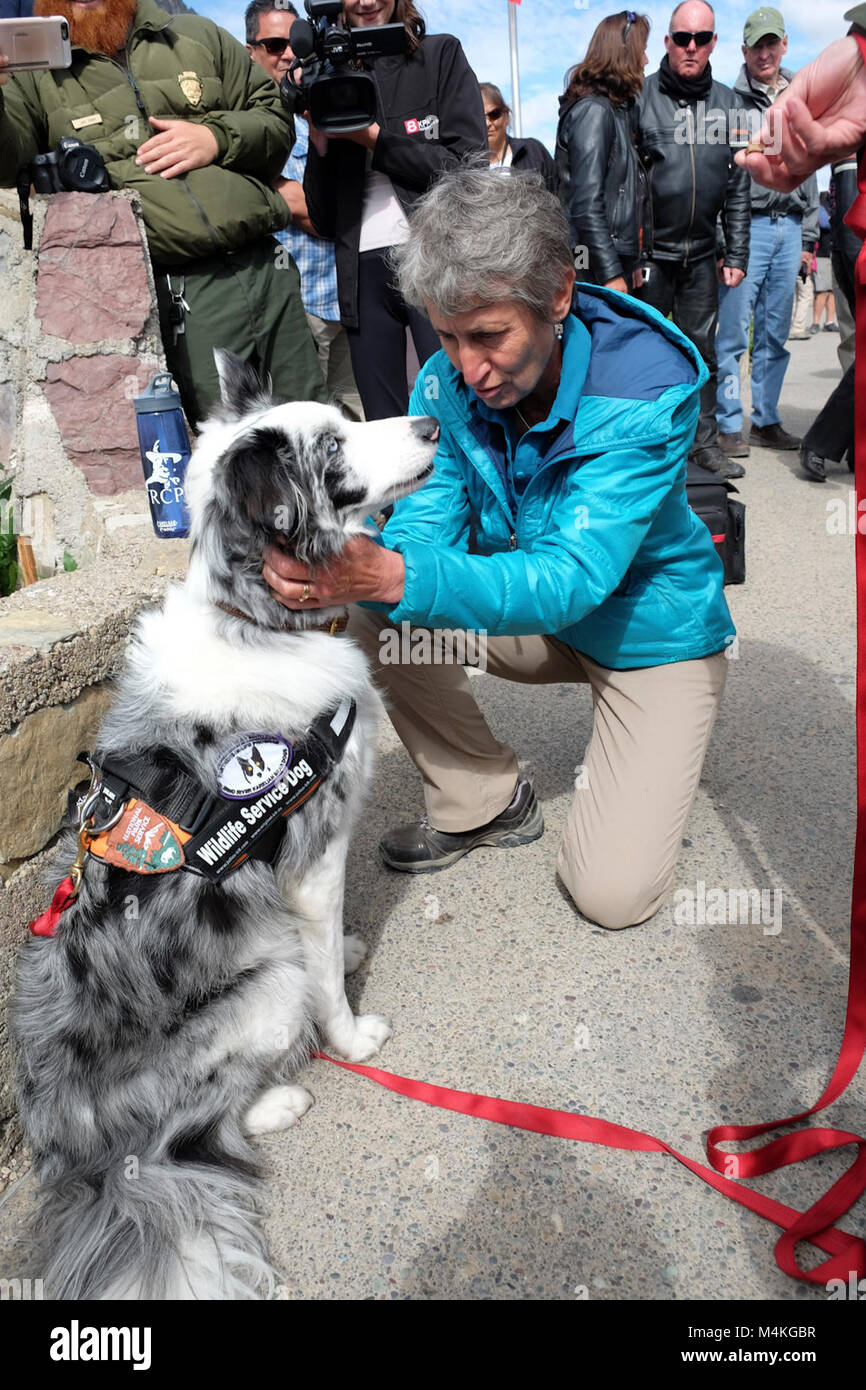 Secretary Jewell visits Glacier National Park. Meets Rangers and gets ...