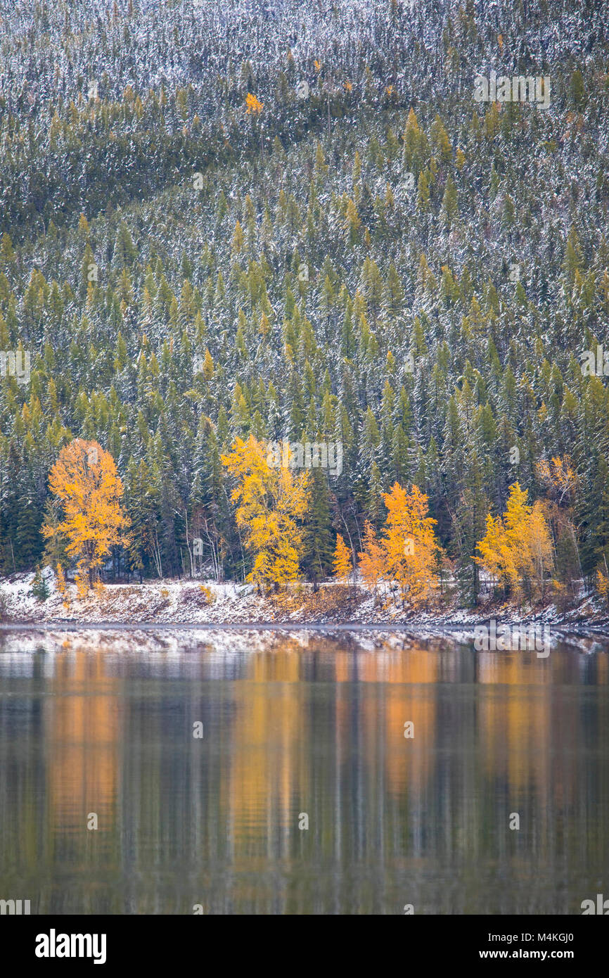 Fall Colors at Lake McDonald Stock Photo - Alamy
