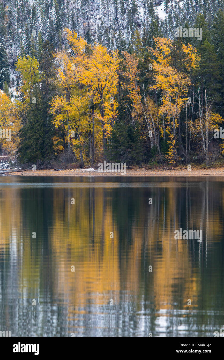 Fall Colors at Lake McDonald Stock Photo - Alamy