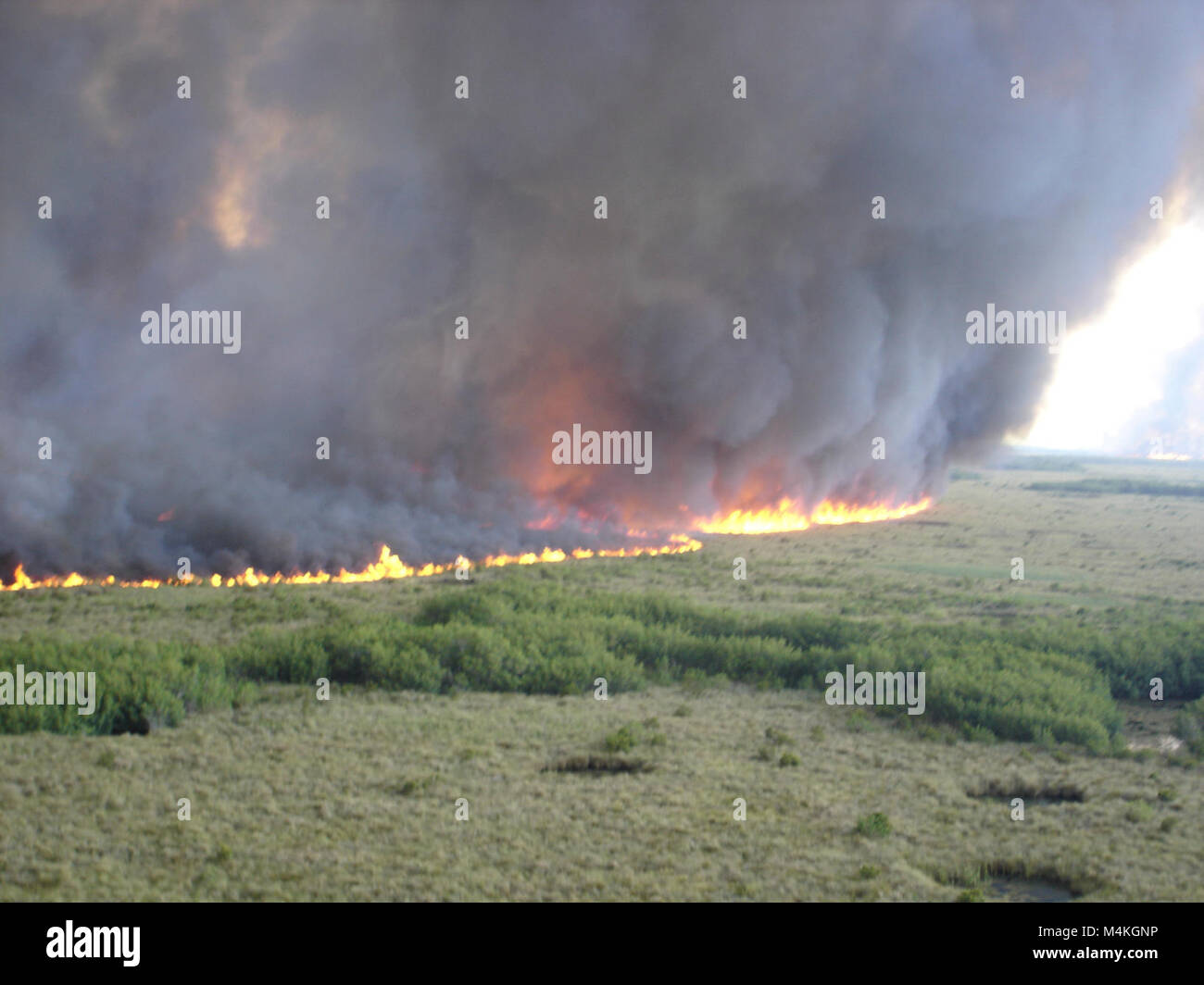Fire in everglades national park hi-res stock photography and images ...