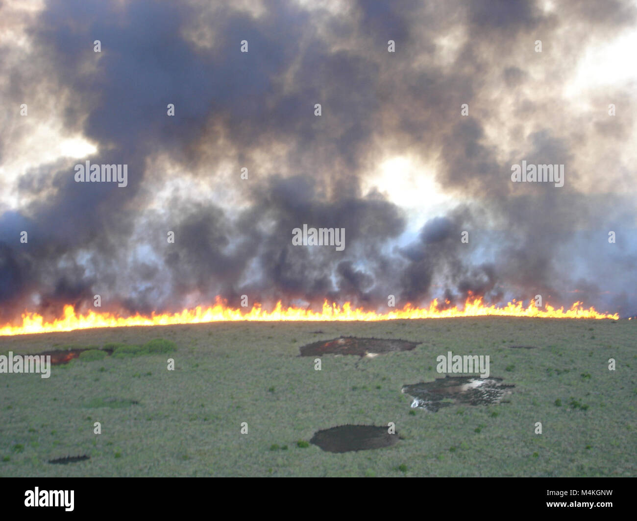 Fire in everglades national park hi-res stock photography and images ...