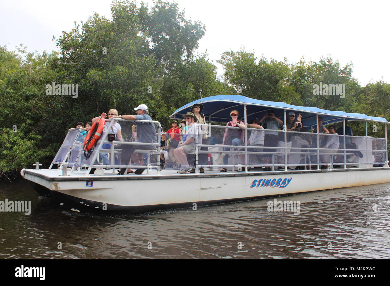 Flamingo Backcountry Boat Tour Stock Photo - Alamy