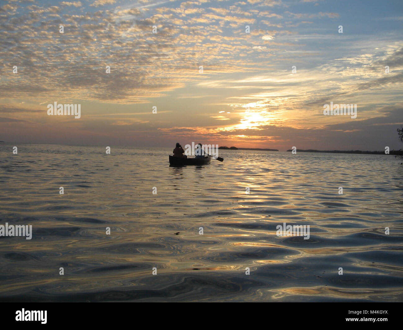 Flamingo florida canoe hi-res stock photography and images - Alamy
