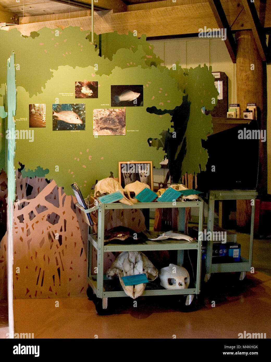 Visior center hi-res stock photography and images - Alamy