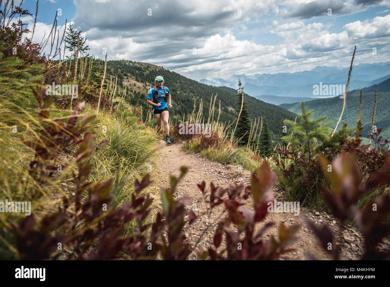 Huckleberry Lookout Trail..Huckleberry Lookout Trail Stock Photo - Alamy