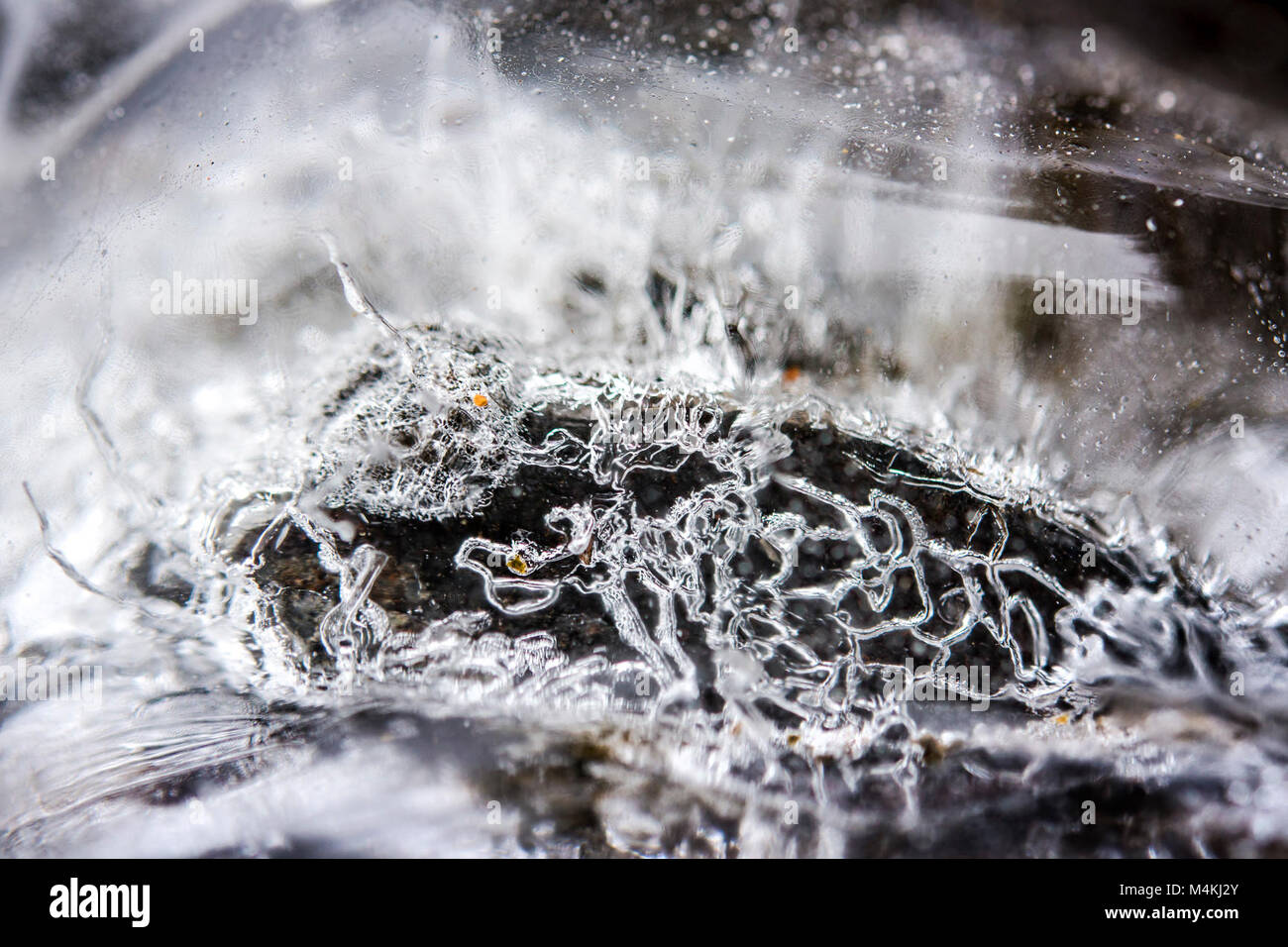 Ice- Banana Ice Slug..Ice- Banana Ice Slug Stock Photo - Alamy