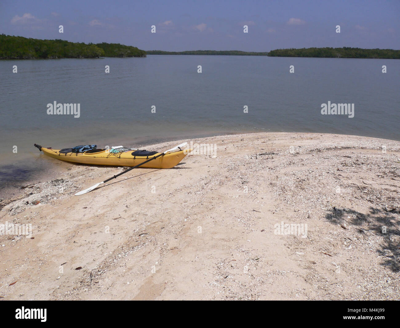 Kayaking in Ten Thousand Islands Stock Photo - Alamy