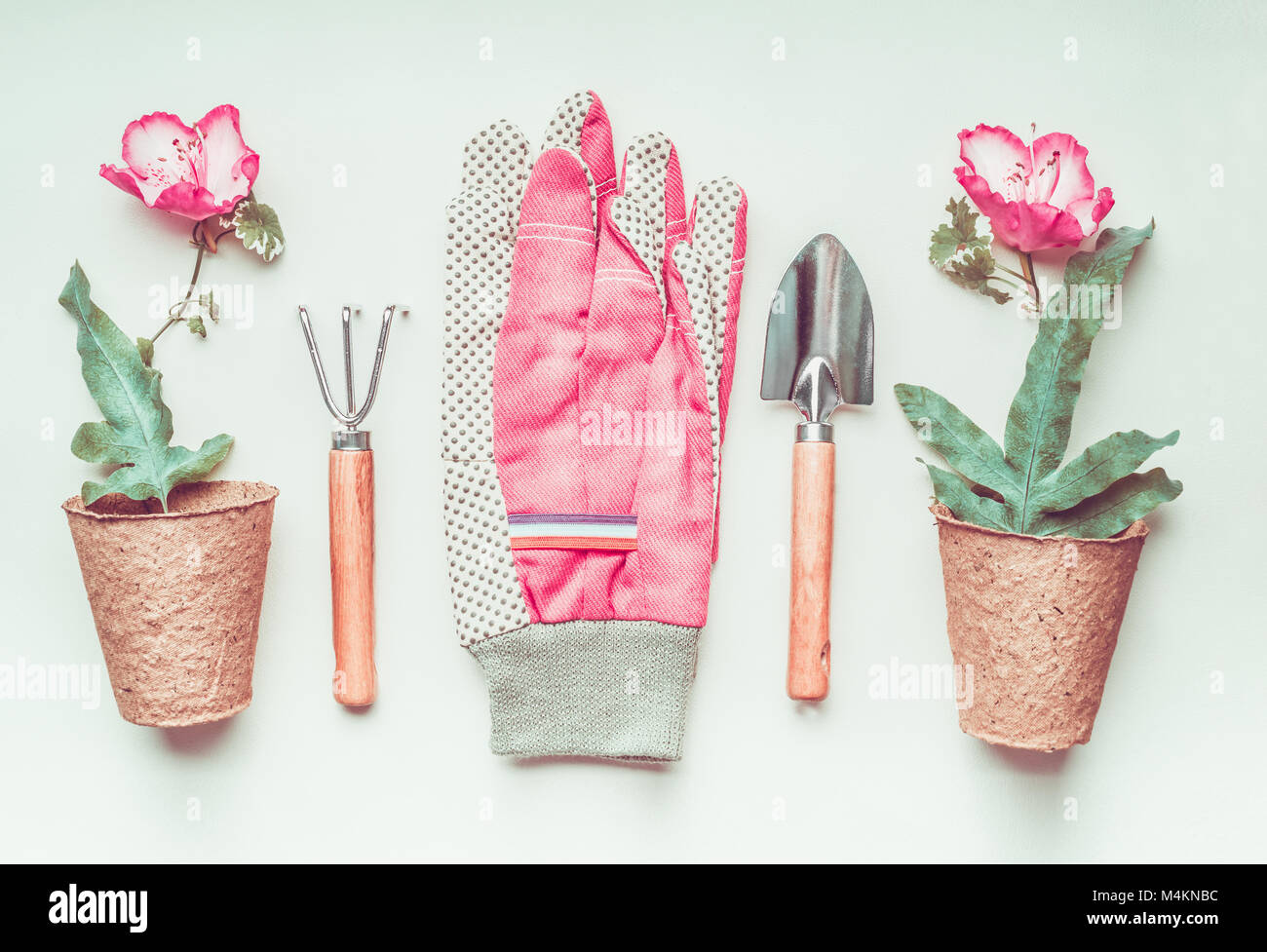 Set layout hi-res stock photography and images - Alamy