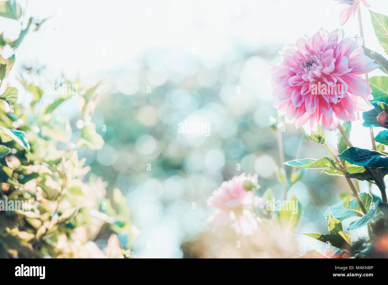 Spring Backgrounds Tumblr
