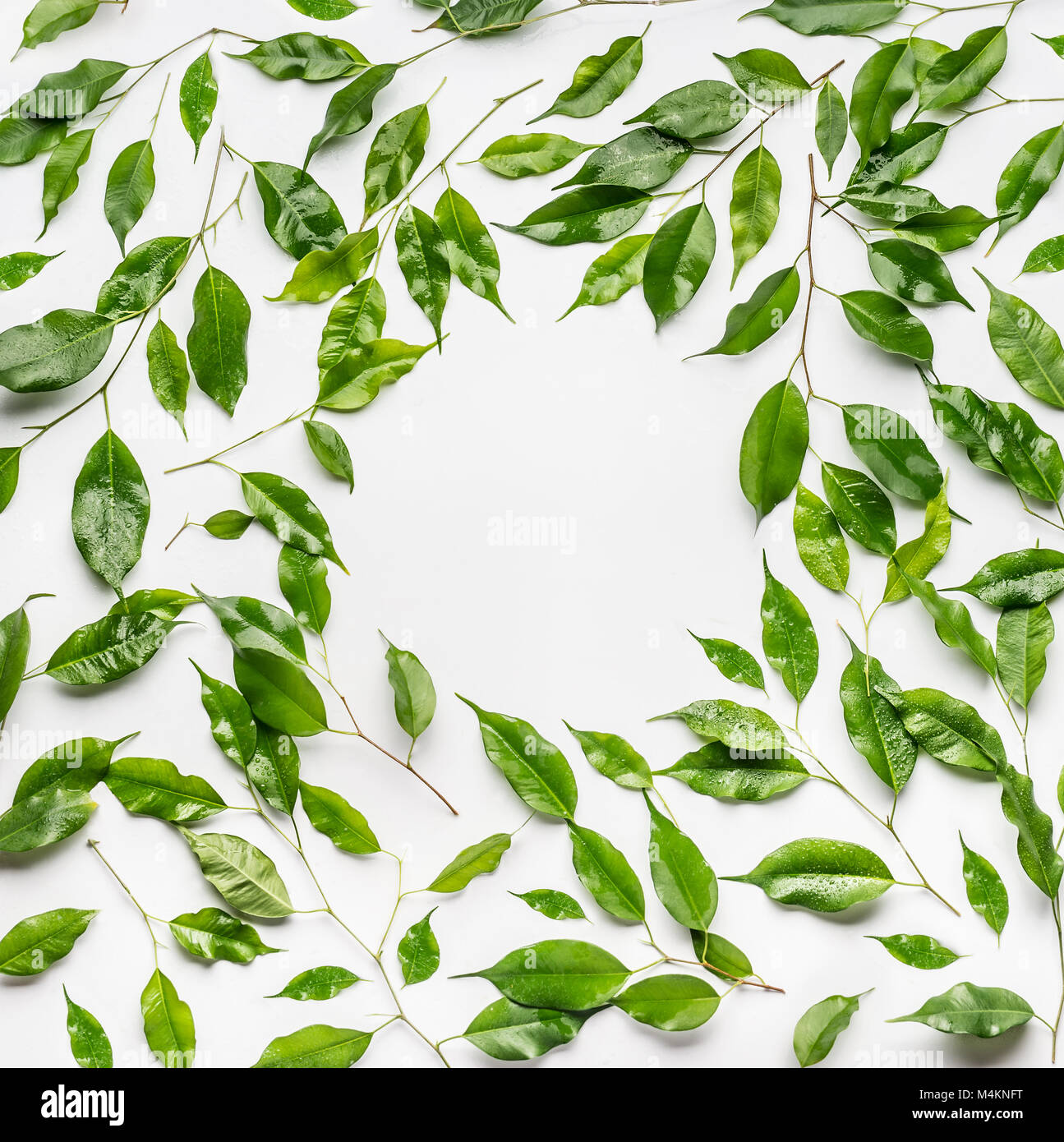 Creative layout frame, made with green branches and leaves , flat lay ...