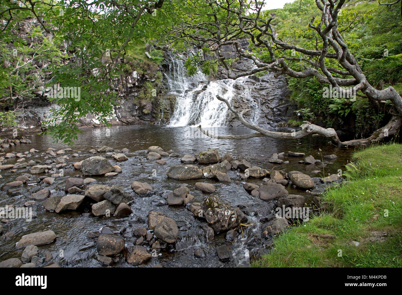 Eas Fors waterfall Isle of Mull Scotland UK Stock Photo - Alamy