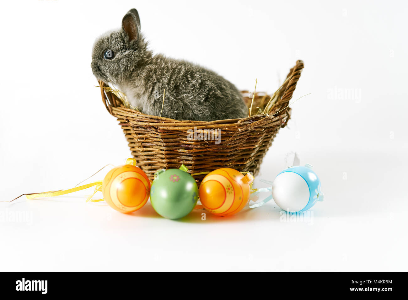 Cute baby bunny in basket for Easter Stock Photo - Alamy