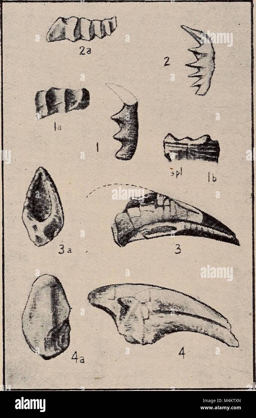 This 1914 manual provides students with an introduction to the study of ...