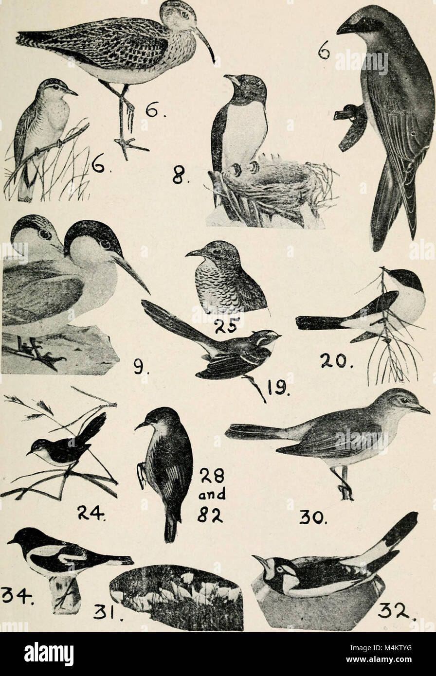 The 1922 publication, Australian Bird Maps, provides detailed maps and ...
