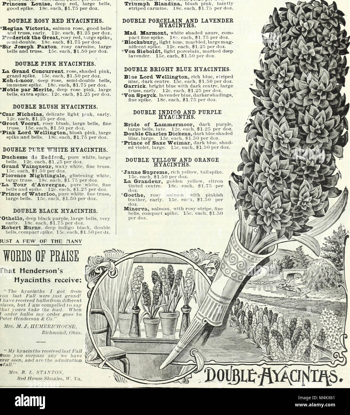 This 1901 catalogue features a variety of autumn-flowering bulbs ...