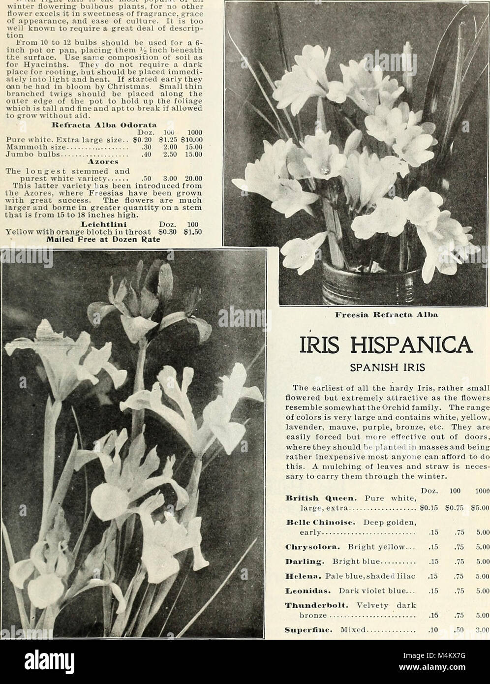 The 1905 Autumn catalogue from W.W. Rawson and Co. features a wide ...