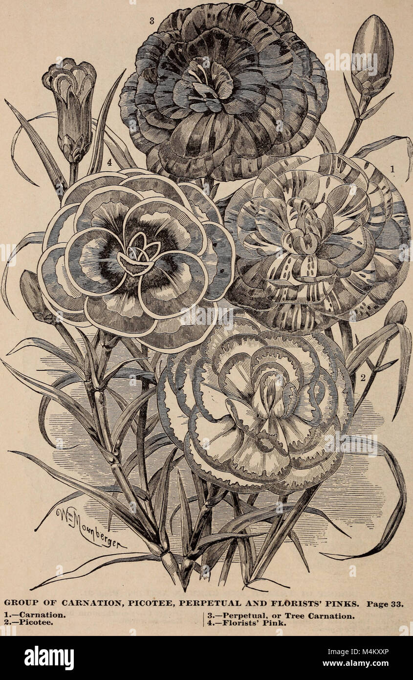 Abridged list hi-res stock photography and images - Alamy