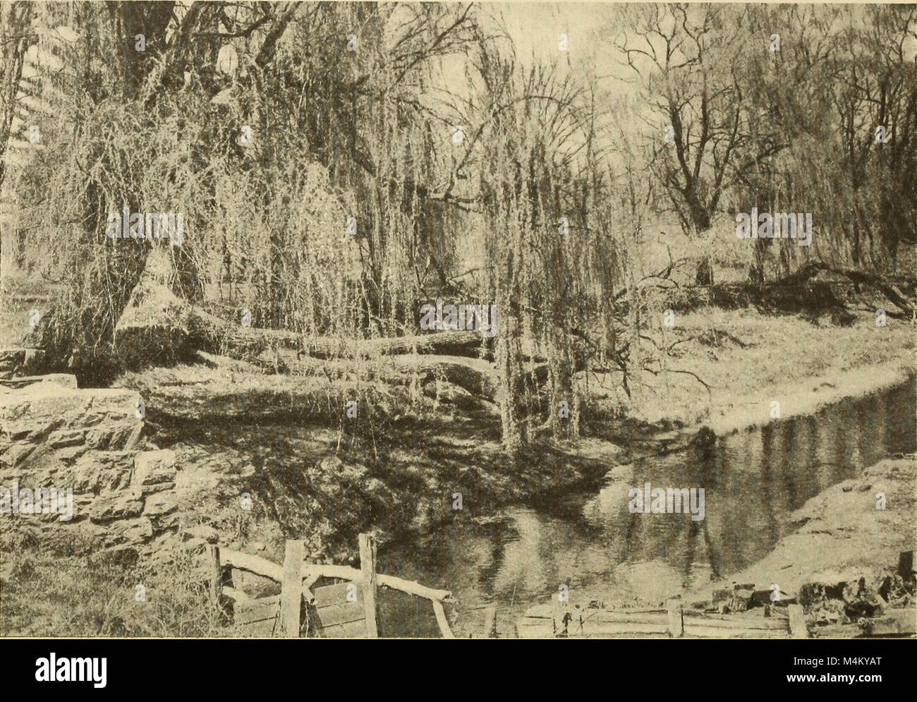 *Backgrounds of Literature* (1903) explores the historical and cultural ...