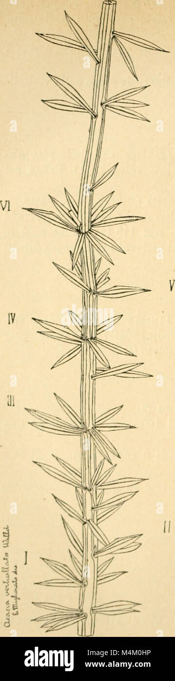 Annali hi-res stock photography and images - Alamy