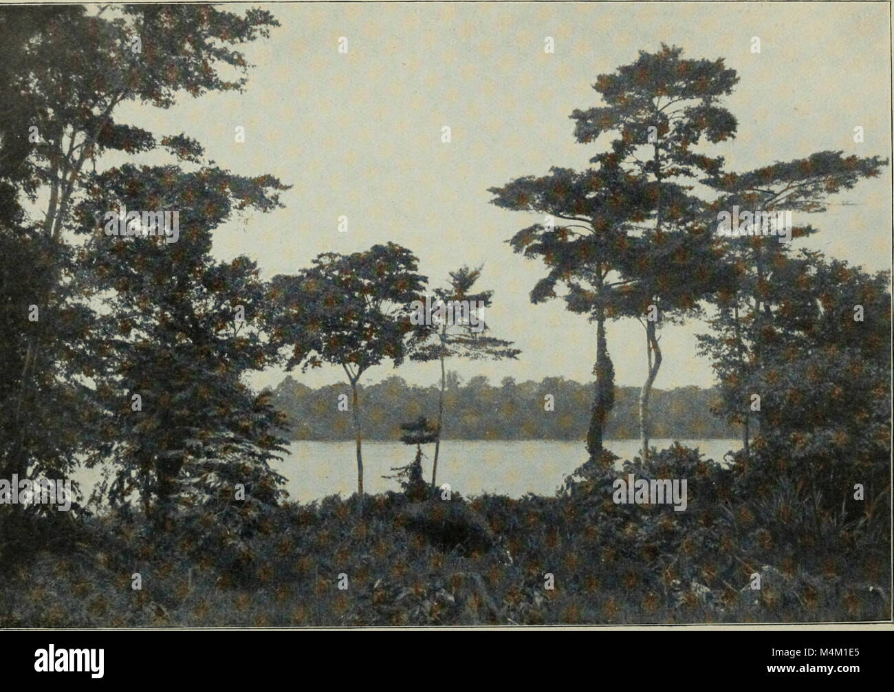 Ubangi hi-res stock photography and images - Alamy