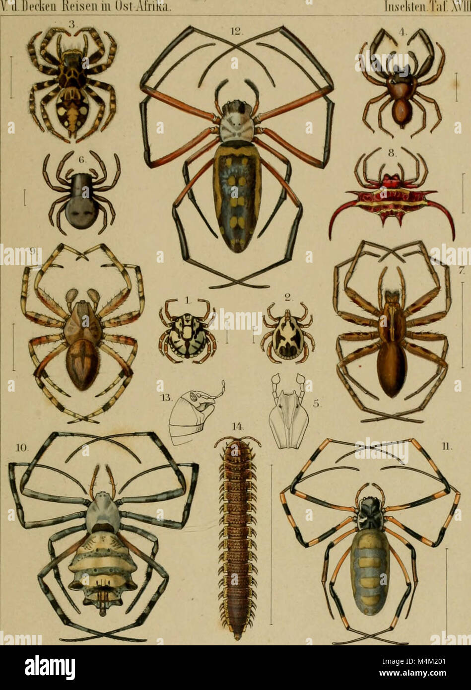 This 1869 work by Baron Carl Claus von der Decken details his travels ...