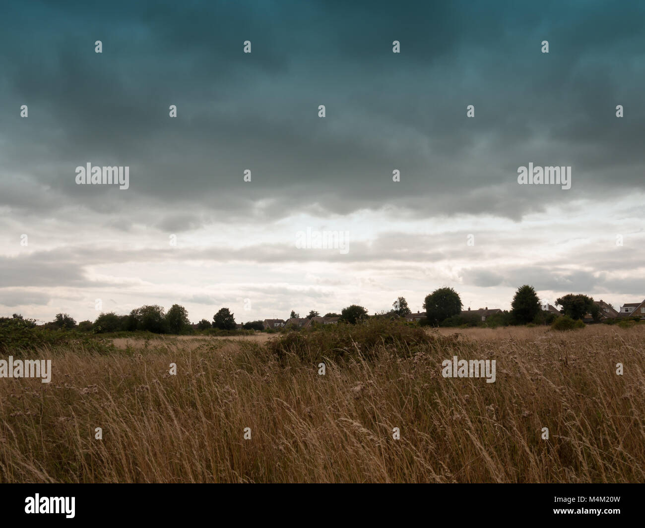 Empty lot grass hi-res stock photography and images - Alamy