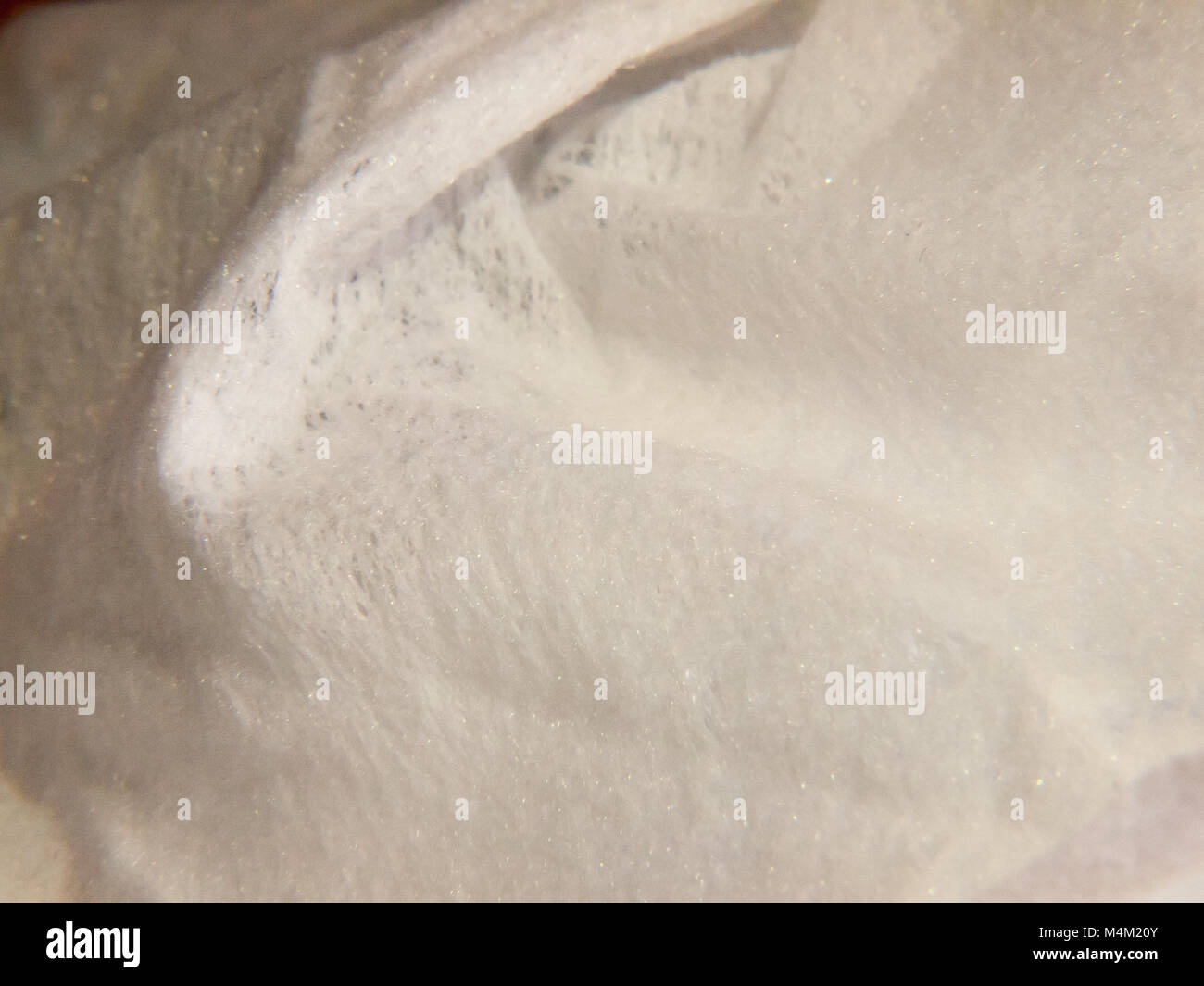 Crumpled tissue hi-res stock photography and images - Alamy