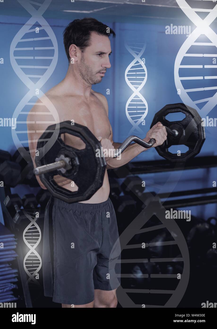 Athletic fit man lifting weights in gym with genetic biology health ...