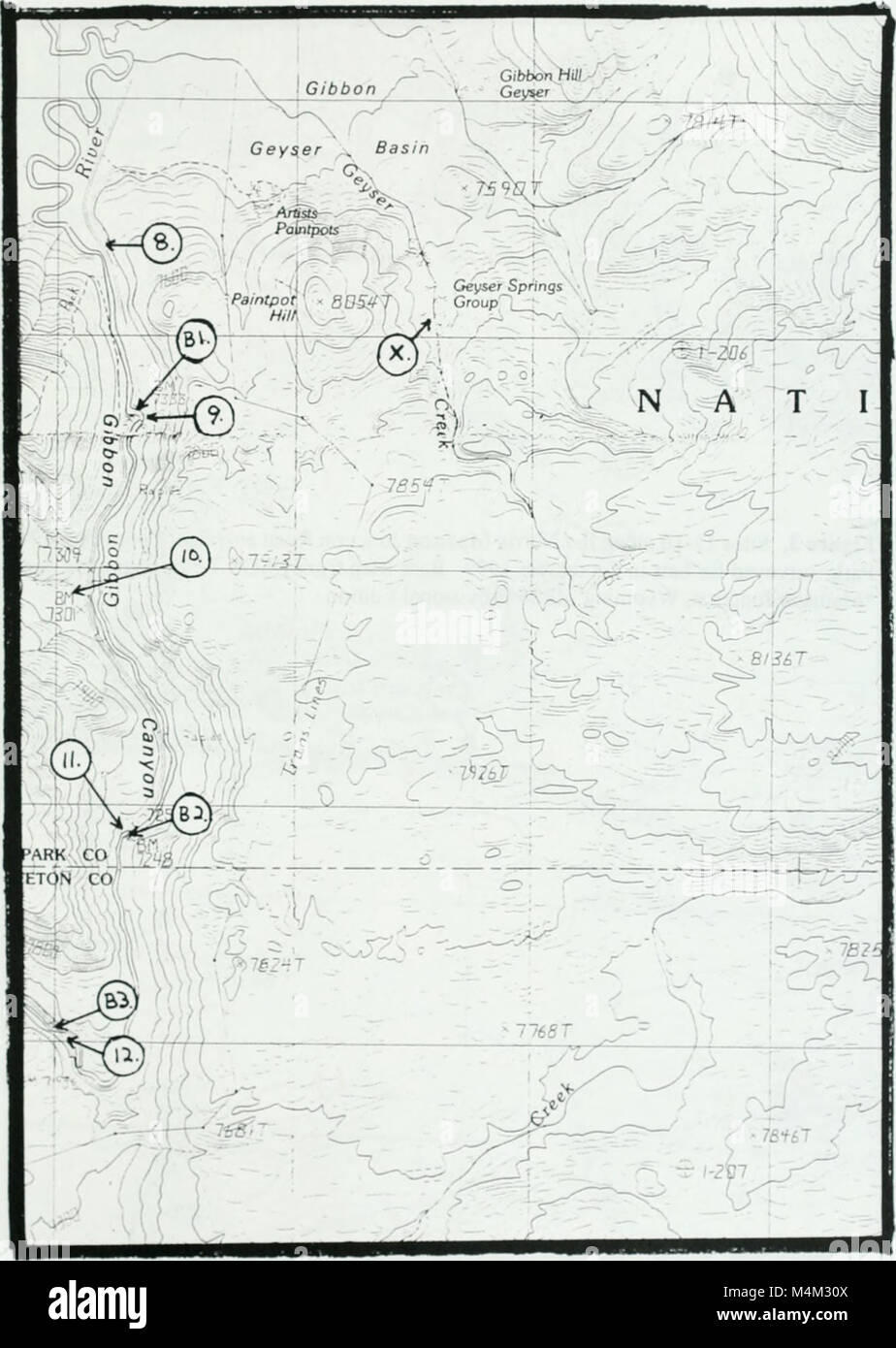 Bat survey along the Norris-Madison Junction Road corridor, Yellowstone ...