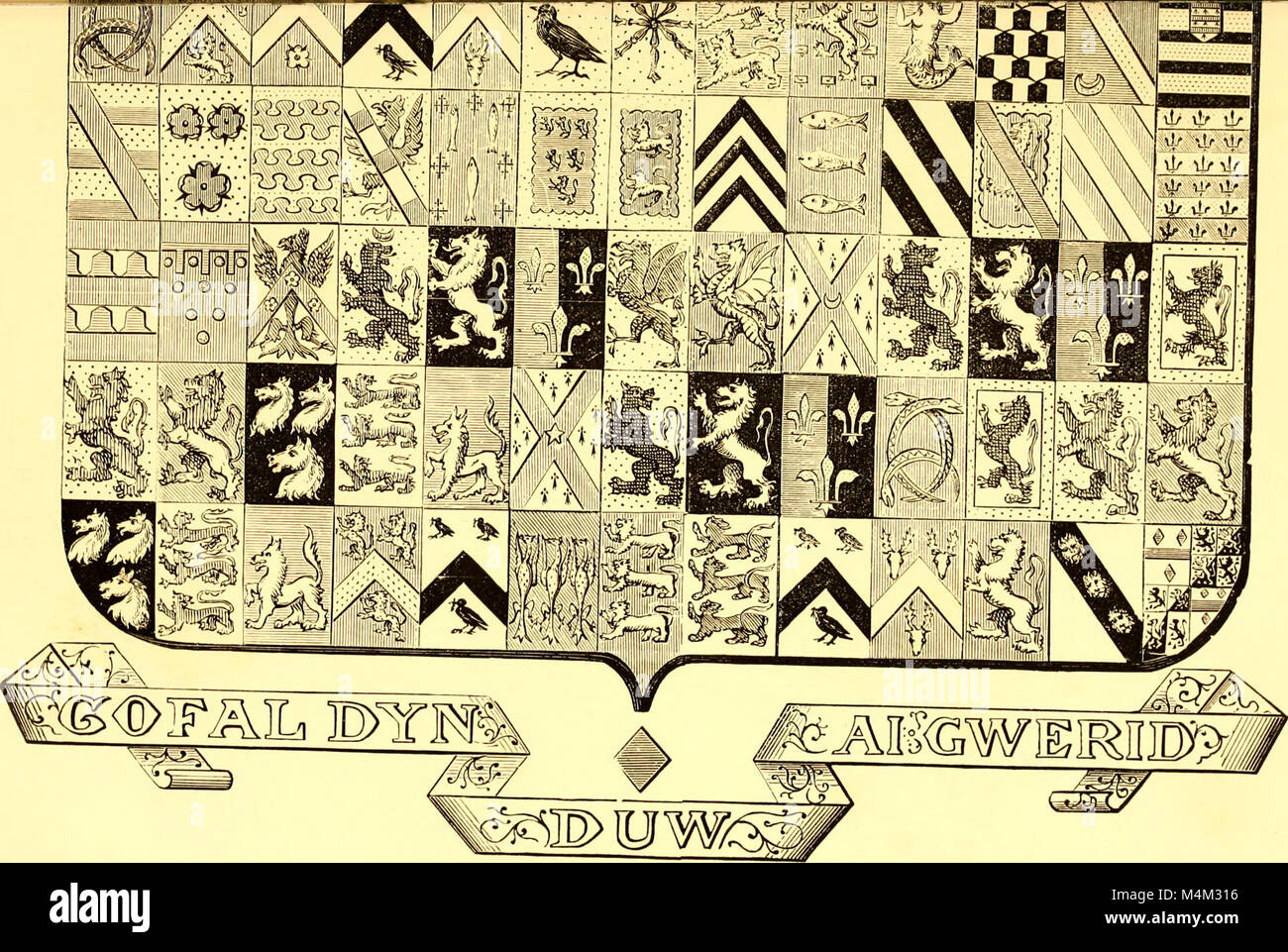 Annals and antiquities of the counties and county families of Wales ...