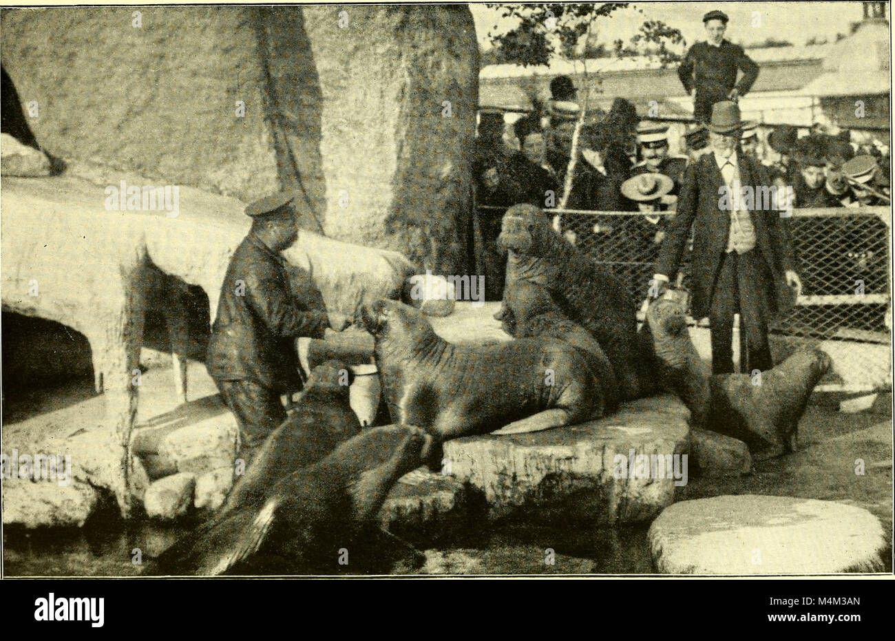 'Beasts and Men' (1912) is Carl Hagenbeck's account of his experiences ...