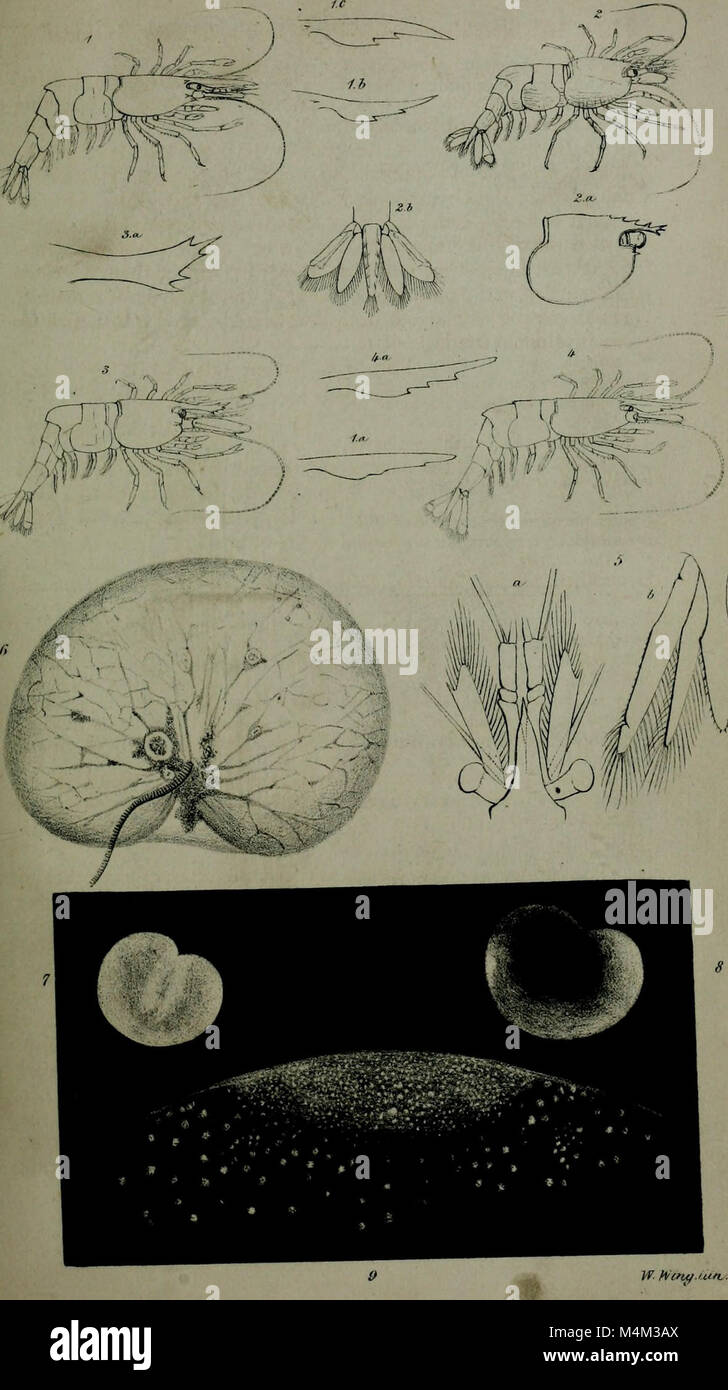 The 'Annals and Magazine of Natural History' (1853) is a scientific ...