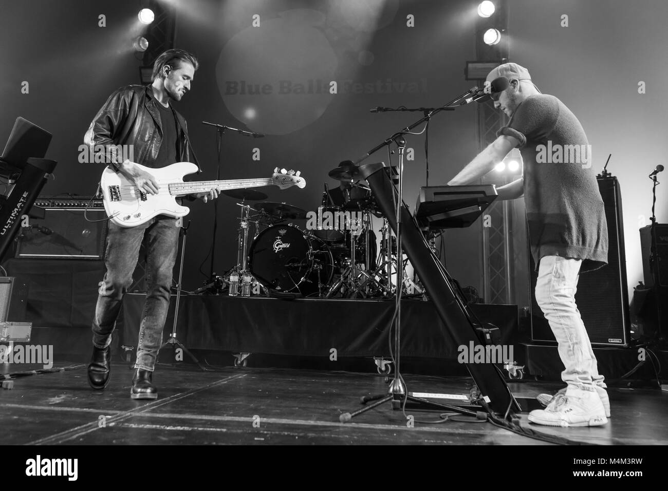 Wild beasts hi-res stock photography and images - Alamy