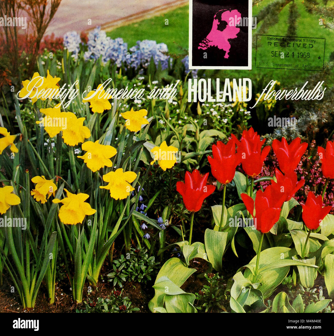 'Beautify America with Holland Flowerbulbs' (1968) promotes the use of ...