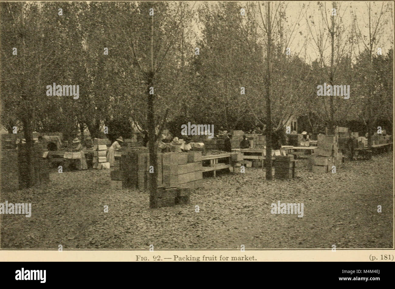 A 1911 guide to the early stages of agricultural practices in America ...