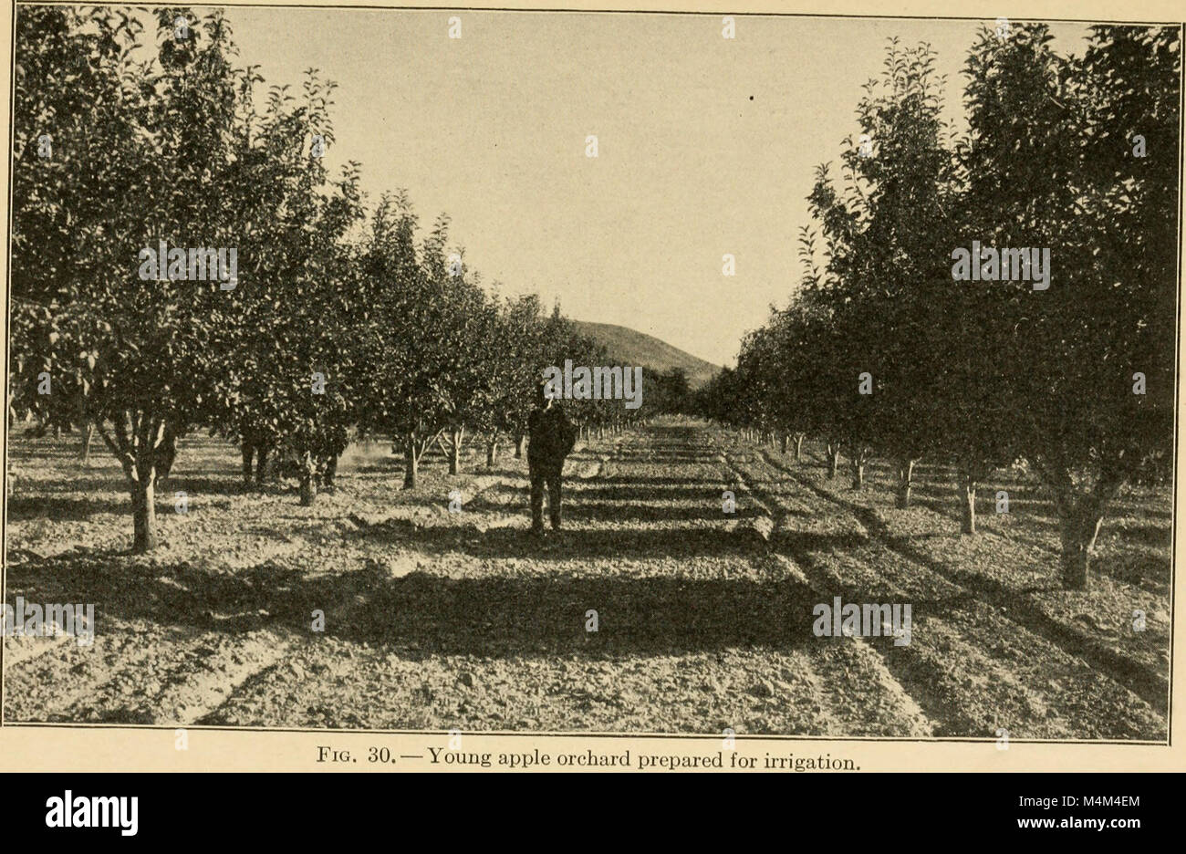 'Beginnings in Agriculture' (1911) offers a comprehensive introduction ...