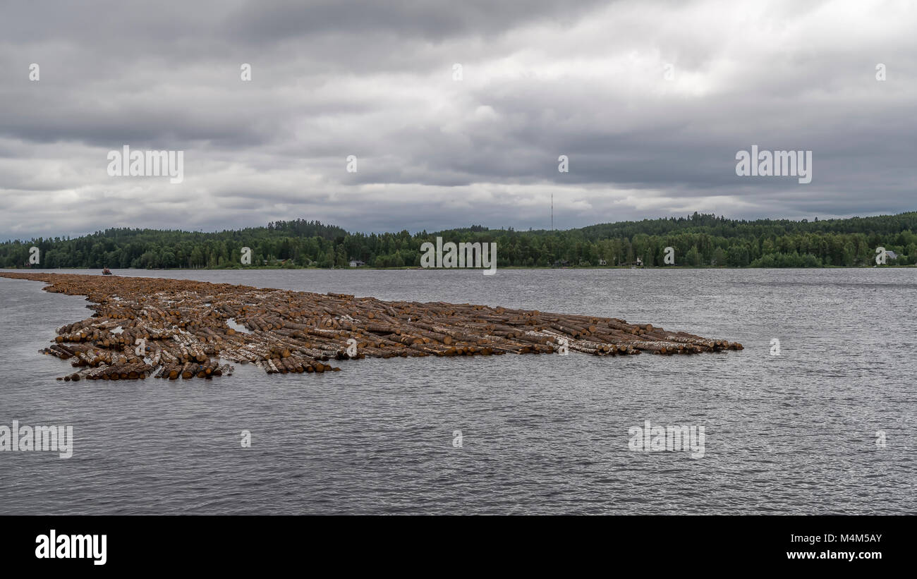 Floating logs on Kyronsalmi Lake, Savonlinna, Finland Stock Photo - Alamy