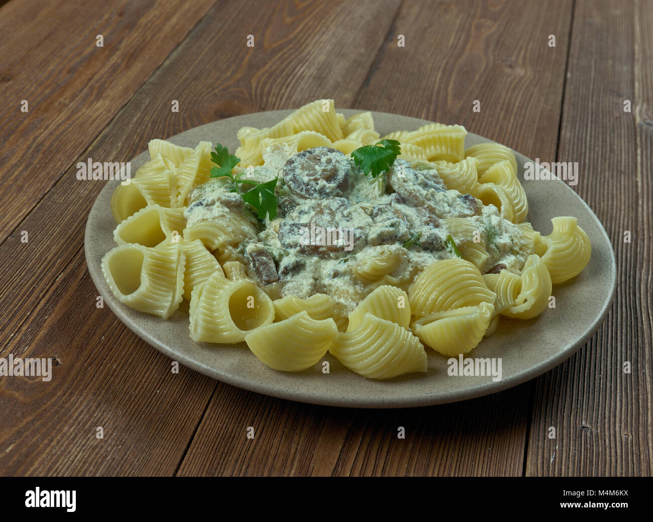 Italian pasta gomiti with mushroom sauce Stock Photo - Alamy