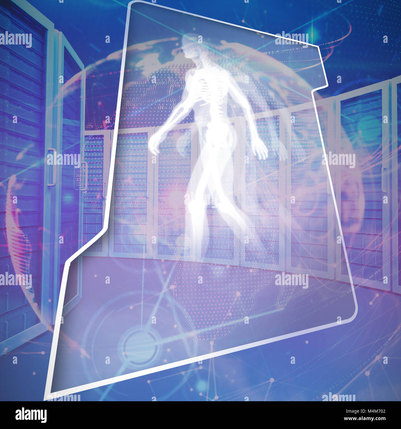 Bony socket hi-res stock photography and images - Alamy