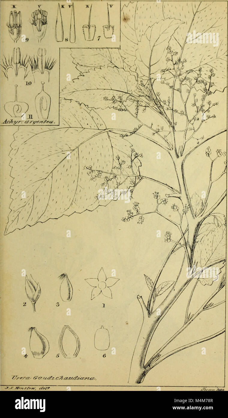 The *Annals of Natural History* (1838) provide detailed records of ...