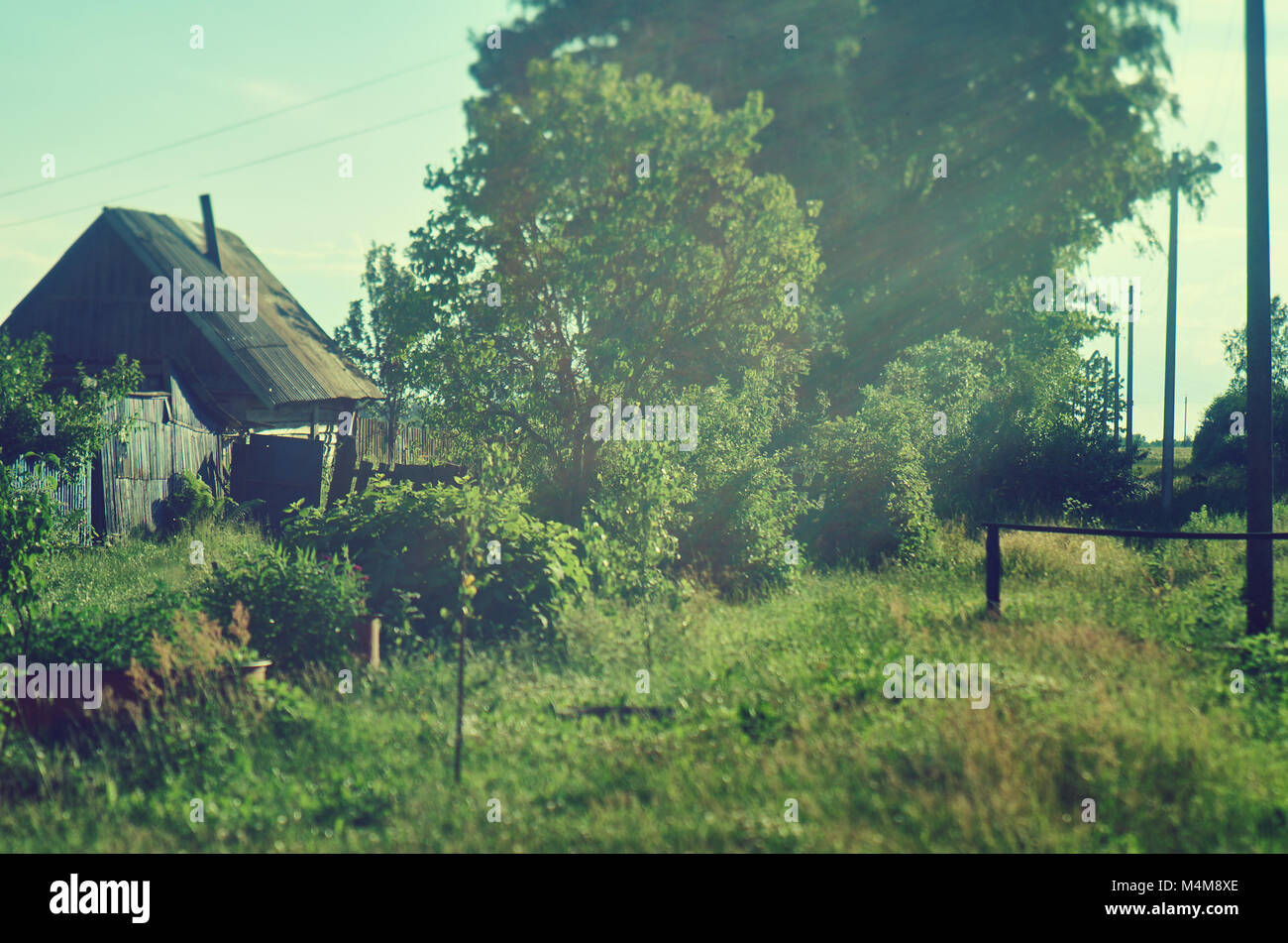 Belarusian countryside hi-res stock photography and images - Alamy