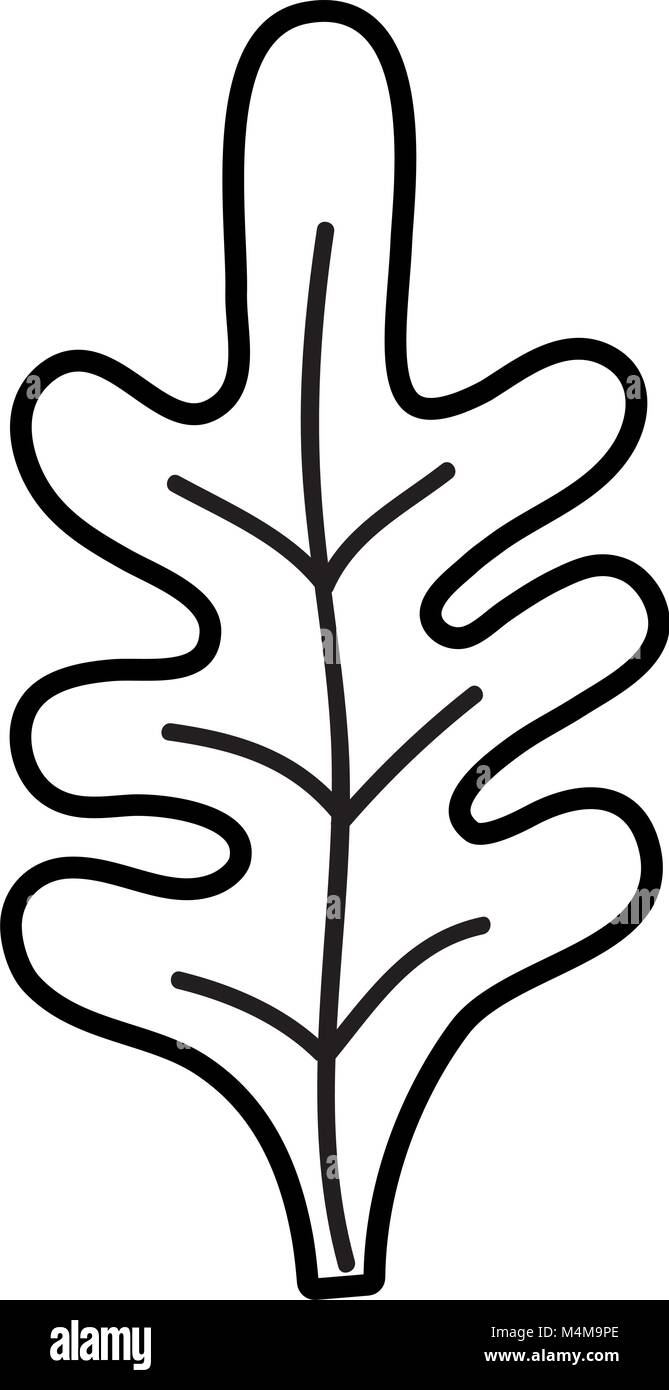 outline herb natural organic plant ingredient Stock Vector Image & Art ...