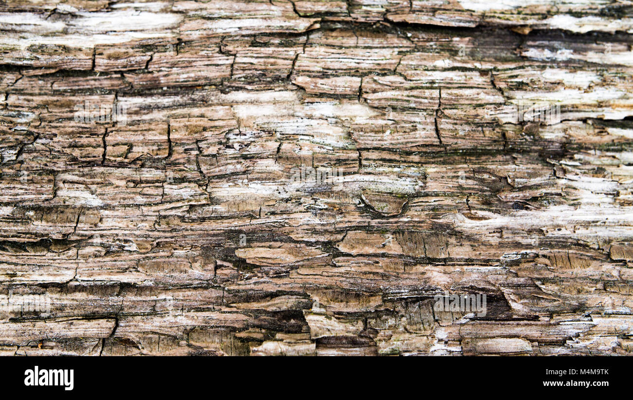 old wooden surface Stock Photo - Alamy