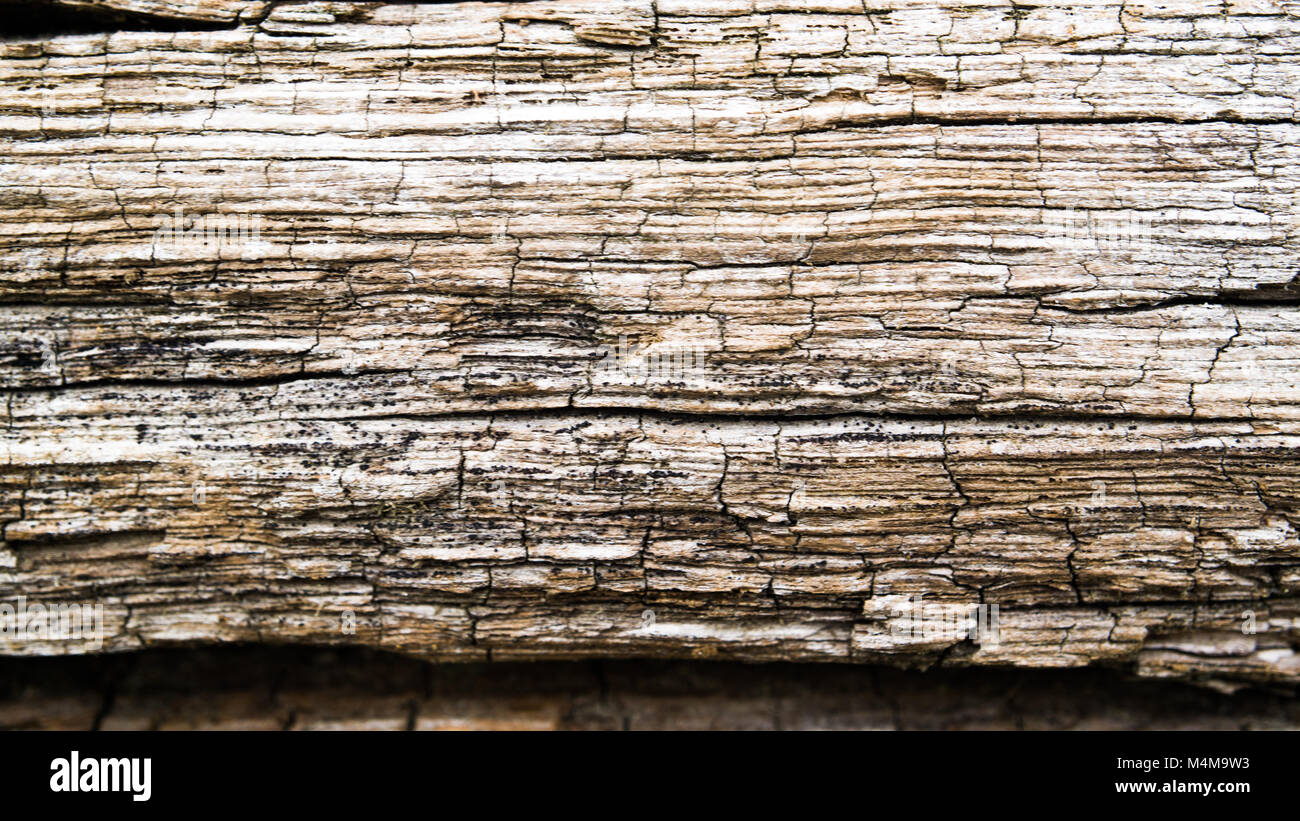 old wooden surface Stock Photo - Alamy