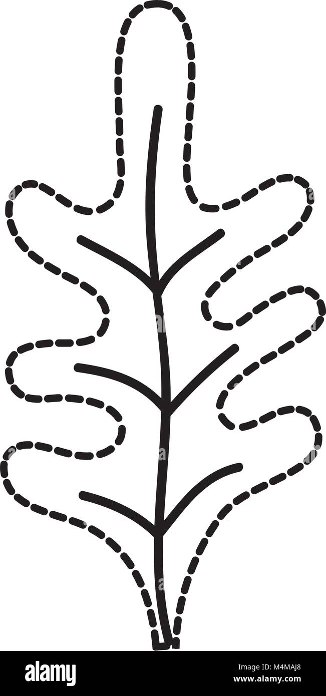 dotted shape herb natural organic plant ingredient Stock Vector Image ...