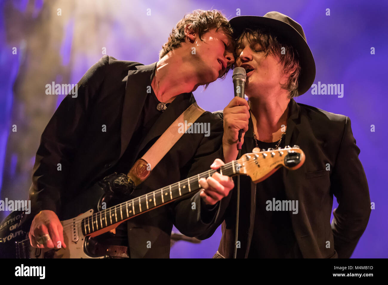 Peter doherty europe hi-res stock photography and images - Alamy