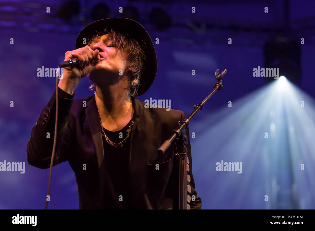 Peter doherty singing hi-res stock photography and images - Alamy