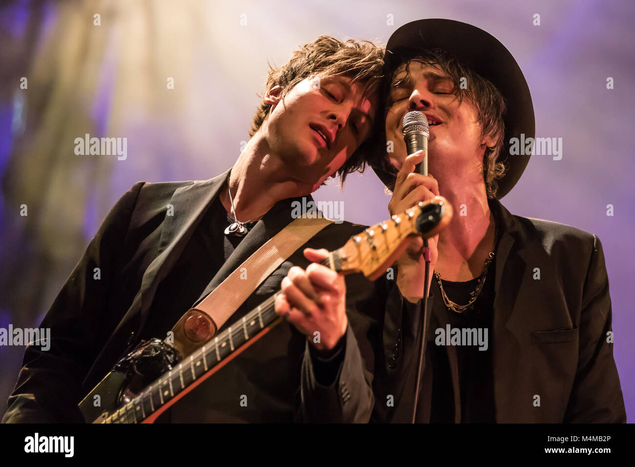 Peter doherty europe hi-res stock photography and images - Alamy