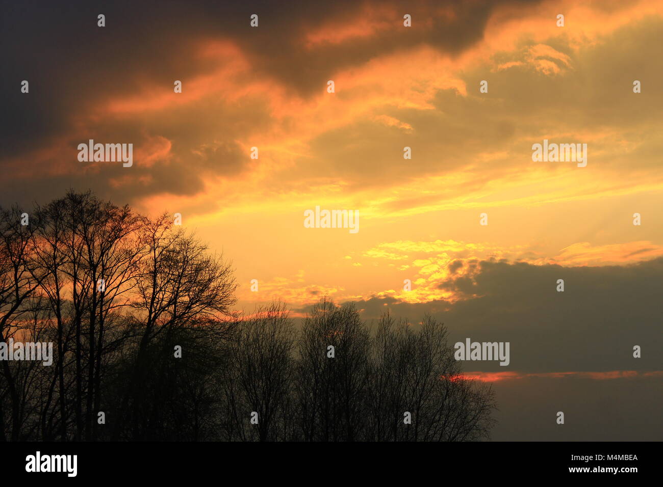 dark sunset with crimson clouds in the sun beams Stock Photo - Alamy